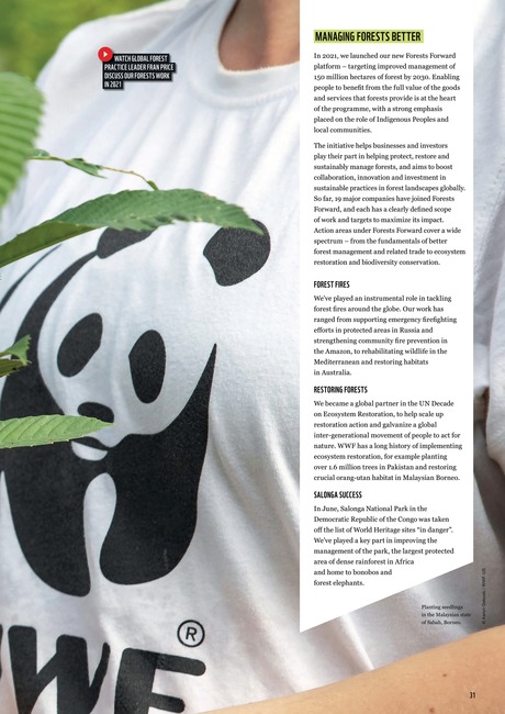 WWF Annual Review 2021 - 31