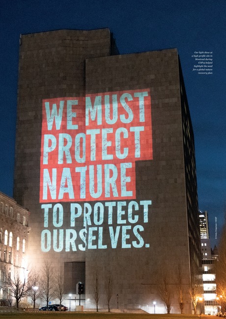 WWF Annual Review 2022 - 7