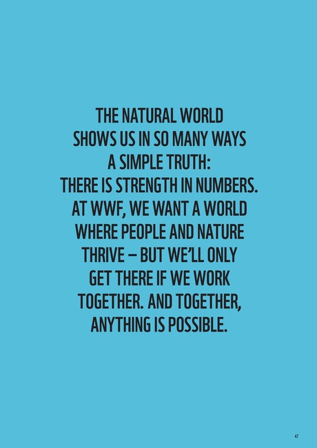 WWF Annual Review 2022 - 47