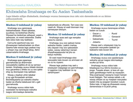 Foundational Curriculum 2022 - Additional Translations - SO-74
