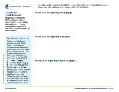 Foundational Curriculum 2022 - Additional Translations - SO-228
