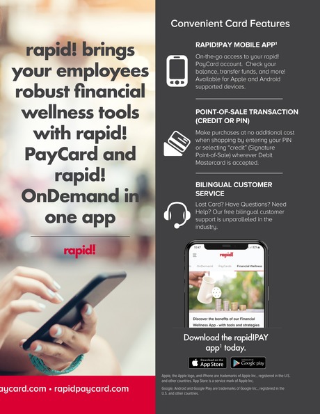 Guide to Successful Electronic Payments 2023 - ix