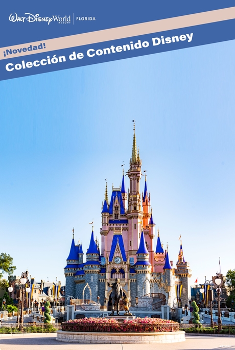 Colección de Contenido Disney