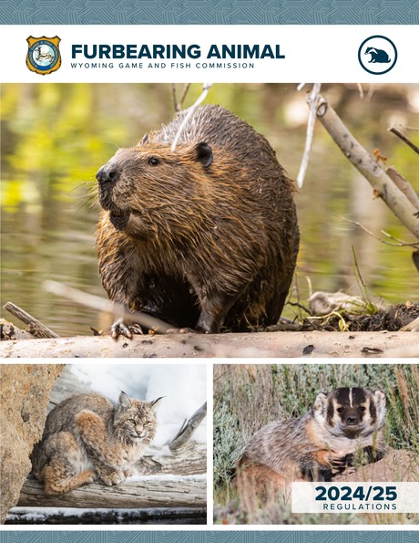2024-25 Furbearing Animal