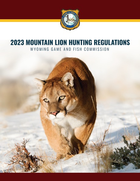 Mountain Lion Hunting Regs